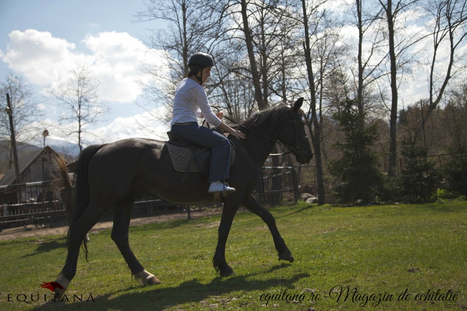 Blog - Pensiunea Ghiocelul, Avrig, jud. Sibiu | Equitana